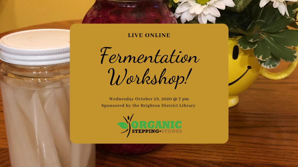 Fermentation Workshop - Live Online - Organic Stepping Stones